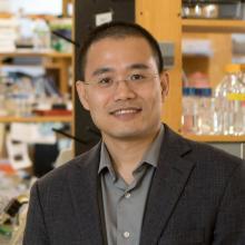 Yibin Kang | Yibin Kang